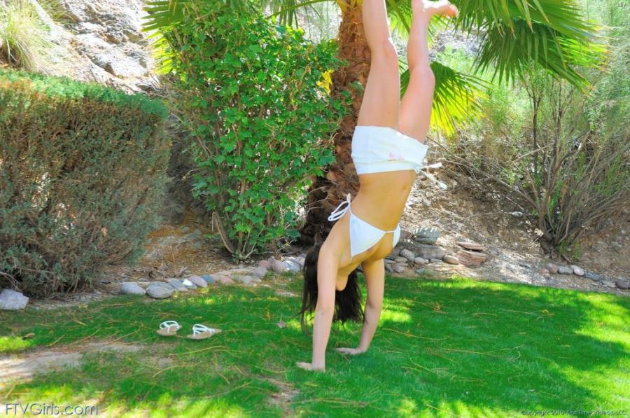 Image 15